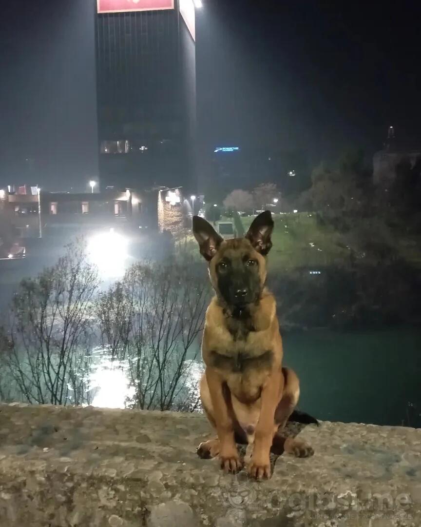 Malinoa Stene - Cijena 600 € - Crna Gora Podgorica Podgorica (uži dio ...
