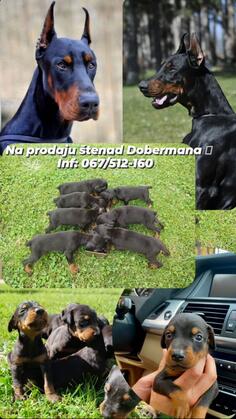 Oglasi.me | Besplatni Oglasi Crna Gora